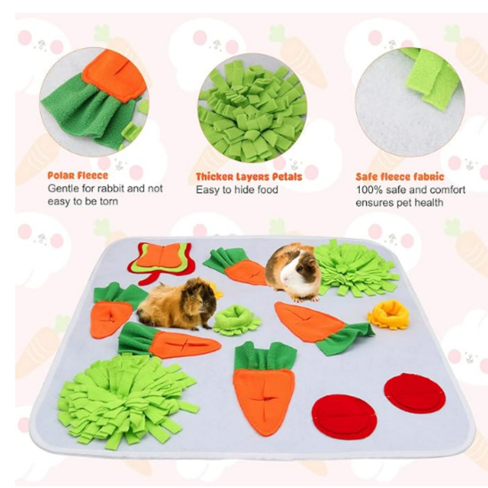 Best rabbit toys: Enrich your bunny's environment | PetsRadar