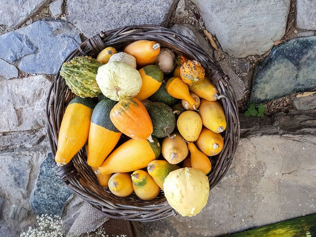 Gourd Edibility – Can You Eat Gourds From The Garden Or Store ...