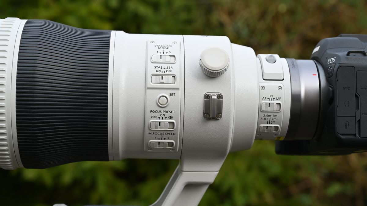 Canon RF 400mm f/2.8L IS USM review: if it ain’t broke, don’t fix it ...