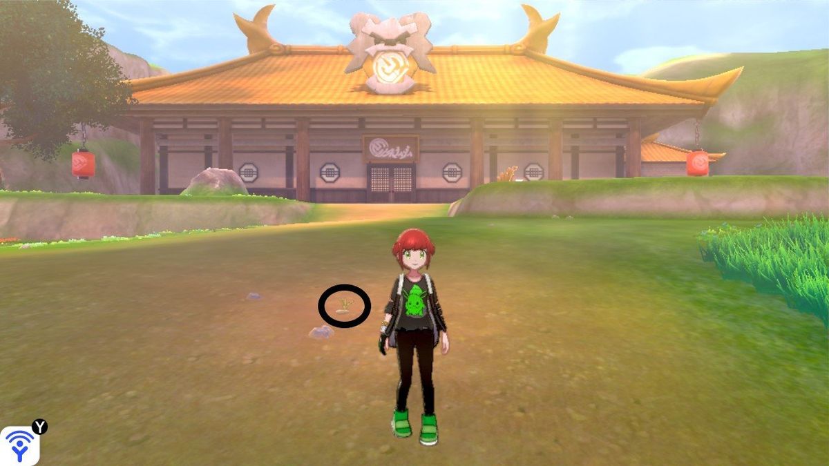 Pokémon Sword and Shield Expansion Pass Diglett Scavenger Hunt: Where ...