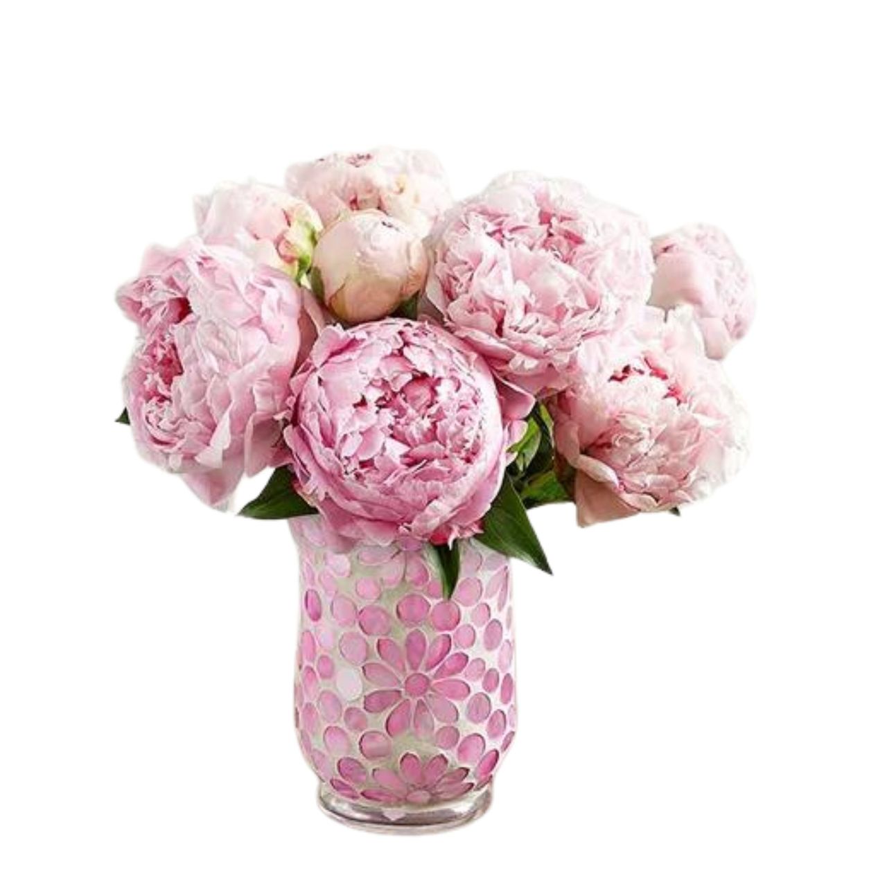 The 2024 Flower of the Year and Plant of the Year are here | Real Homes