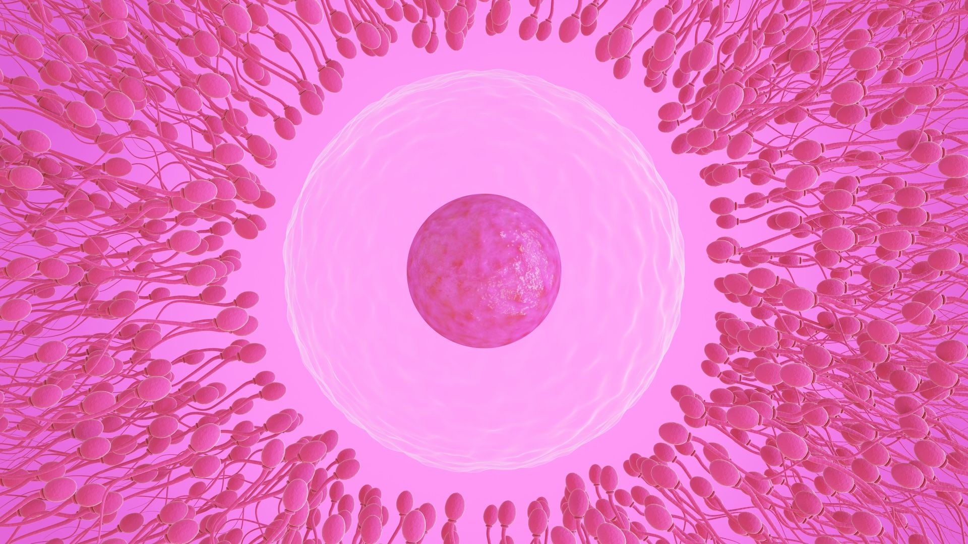 The choice of sperm is 'entirely up to the egg' — so why does the myth ...