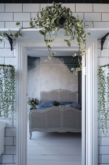 Decorating with plants – inspiring ways to use plants in interior ...