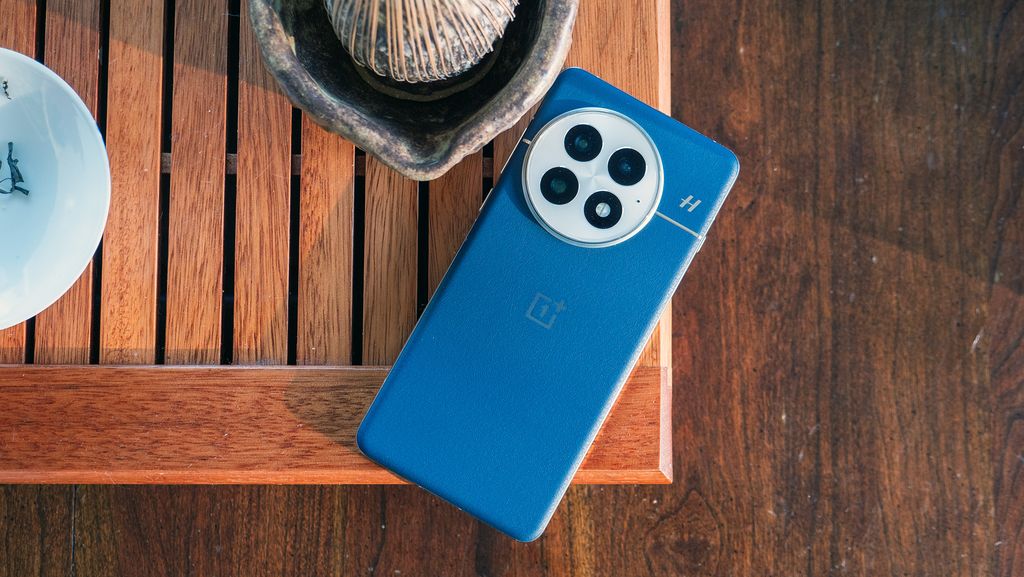 OnePlus pulled off a miracle with the OnePlus 13 camera | Android Central