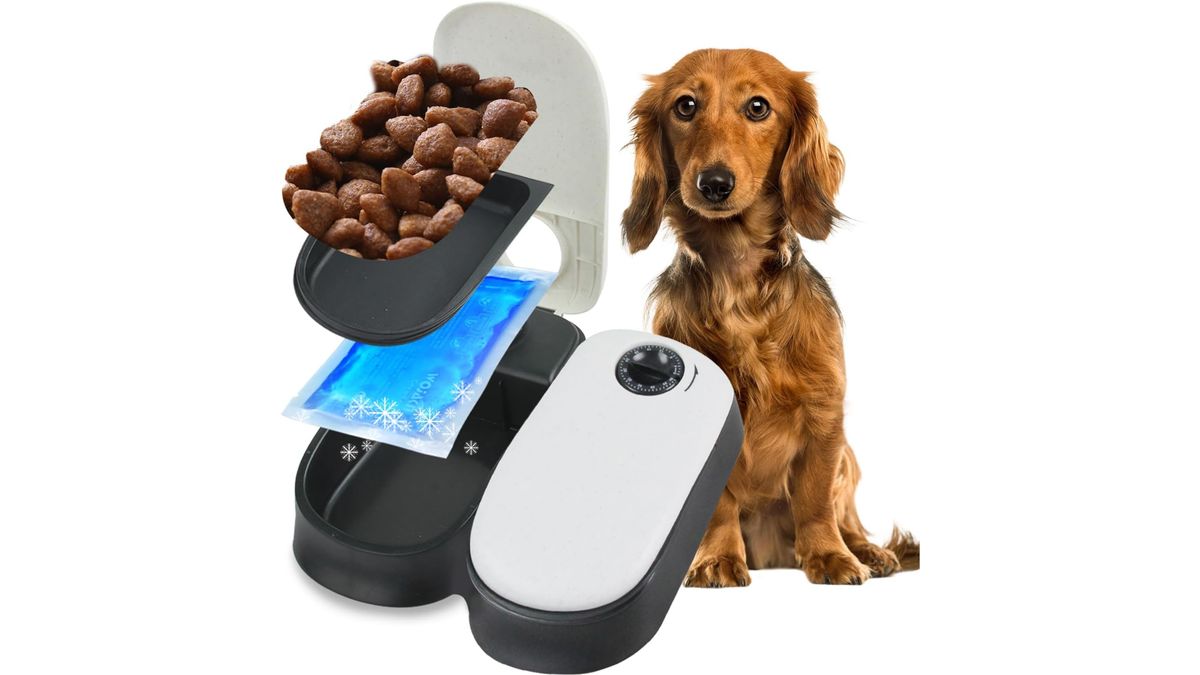 Best automatic pet feeder: Ensure dinner is always on time | PetsRadar