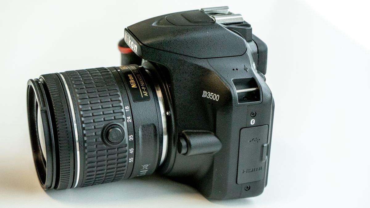 The best budget DSLRs in 2022: | Digital Camera World