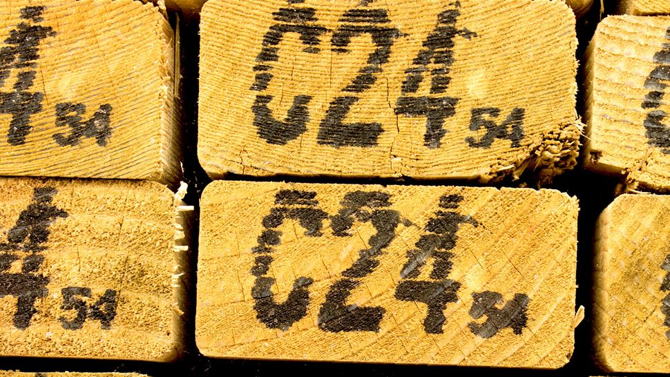 C16 vs C24 timber: What are the differences? | Homebuilding
