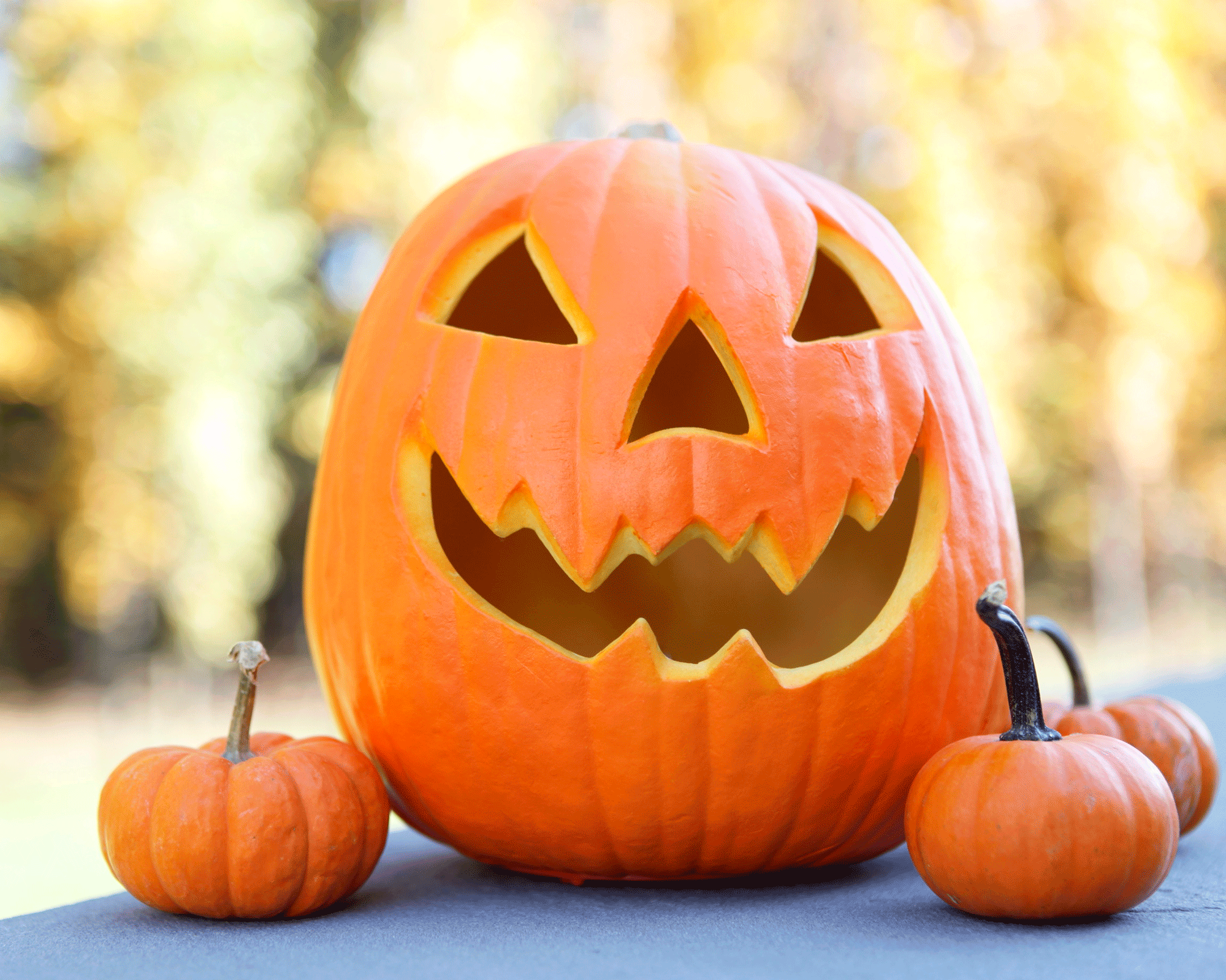 Stop your pumpkin from rotting with this simple hack | Real Homes