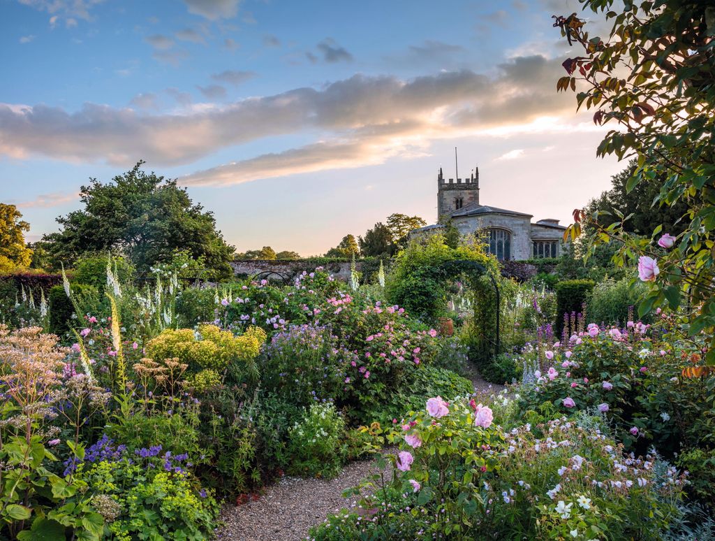 The 'Rose Labyrinth' of Coughton Court, where 200 varieties come ...