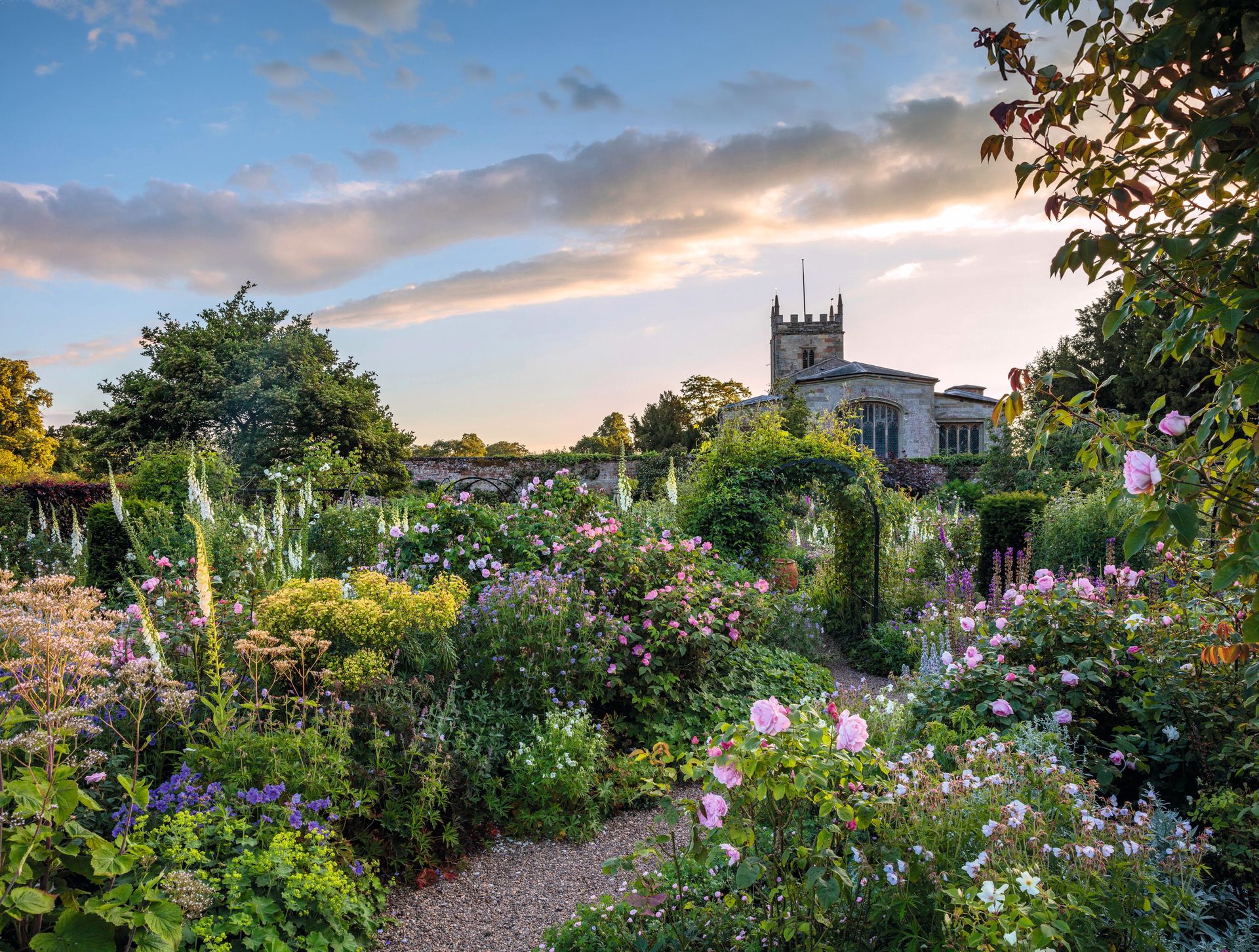 The 'Rose Labyrinth' of Coughton Court, where 200 varieties come ...