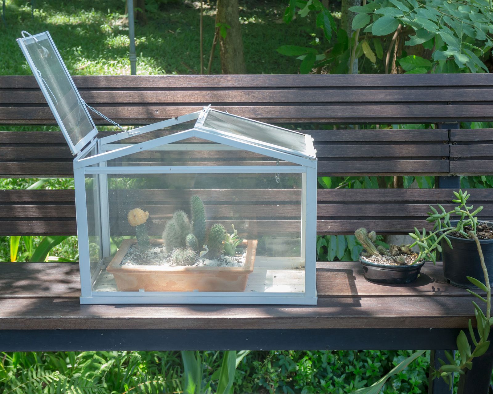 13 DIY mini greenhouses you can make yourself | Gardeningetc