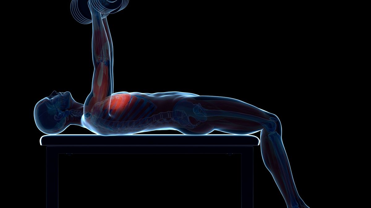 How to bench press: Elevate chest day with these techniques and ...