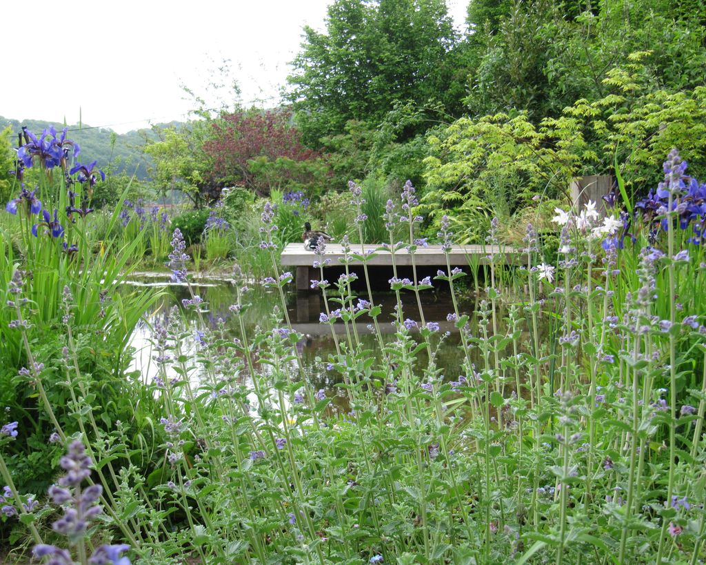 Wildlife garden ideas: turn a backyard into a natural haven | Homes and ...