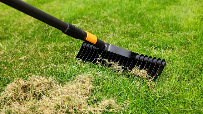 How to scarify a lawn: a step-by-step guide | Homebuilding