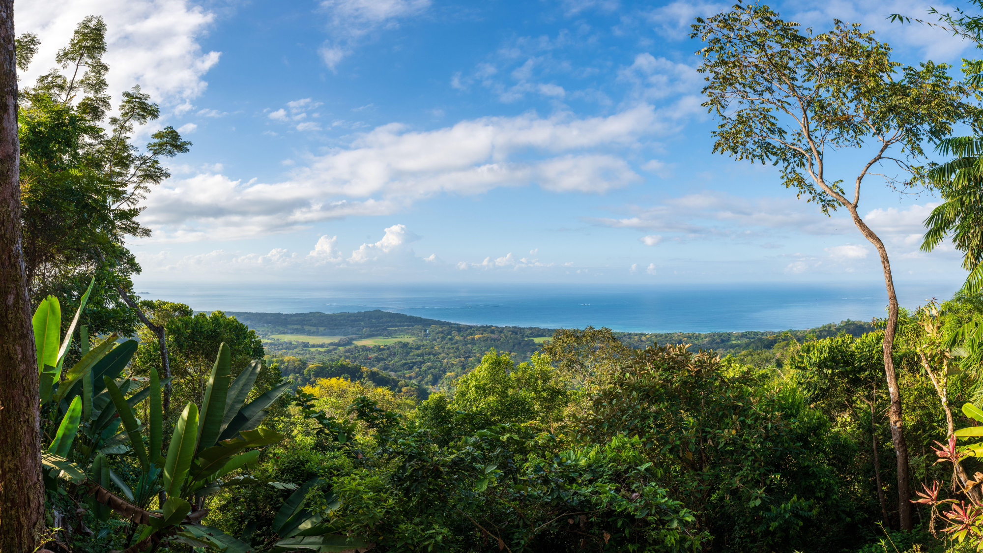 Silent travel: life-changing or just another wellness fad? | The Week
