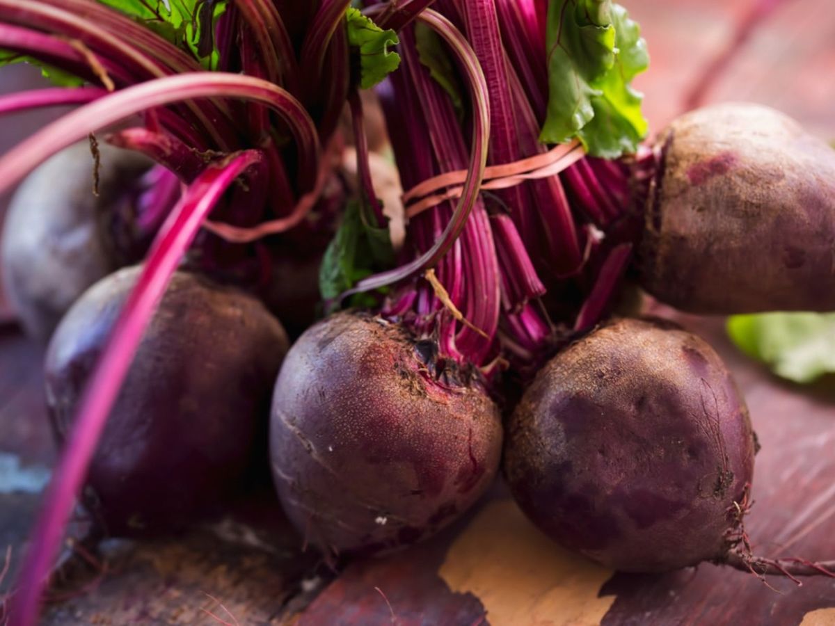 Learn How To Grow Beets In The Garden | Gardening Know How