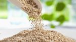 How to grow soybeans: expert tips on a dynamic superfood | Homes and Gardens