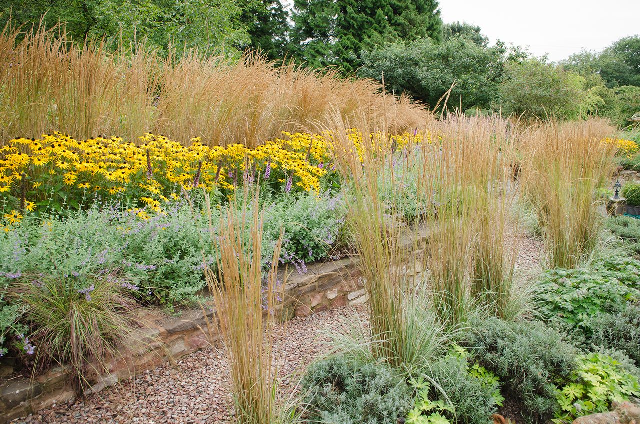 5 ways this sloping garden has year round interest | Homes and Gardens