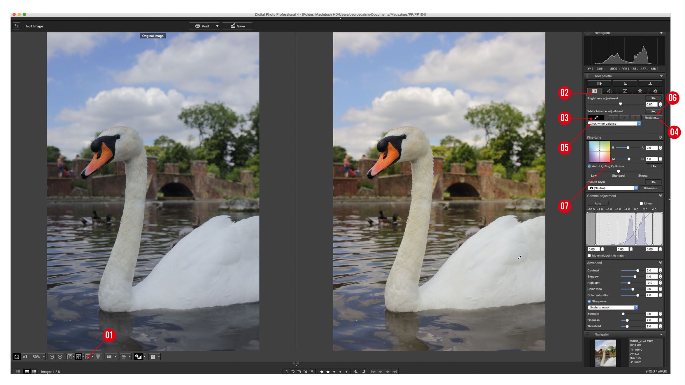 How to use Canon Digital Photo Professional – Canon DPP part 5 ...