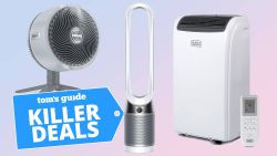 Air circulator vs fan — what's the difference and which should you buy ...