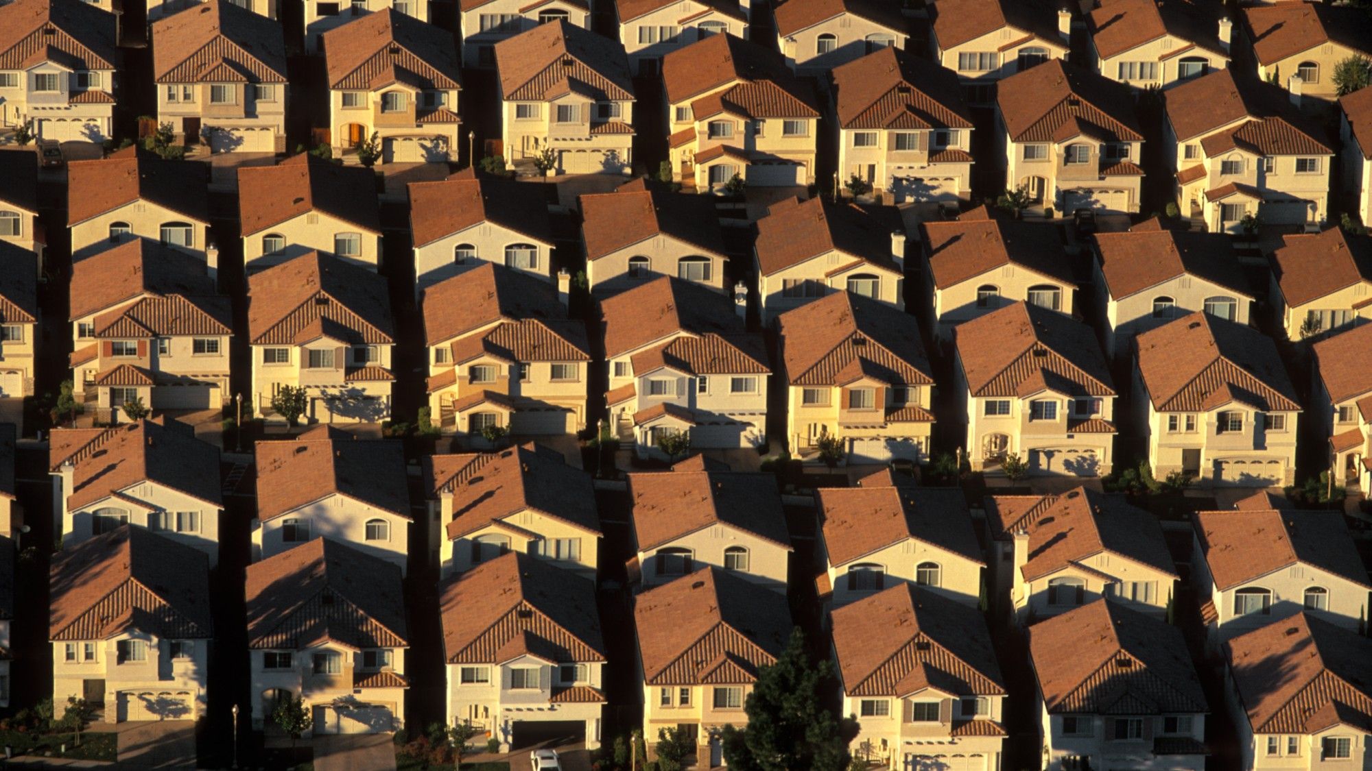 Can Trump make single-family homes affordable by banning big investors ...