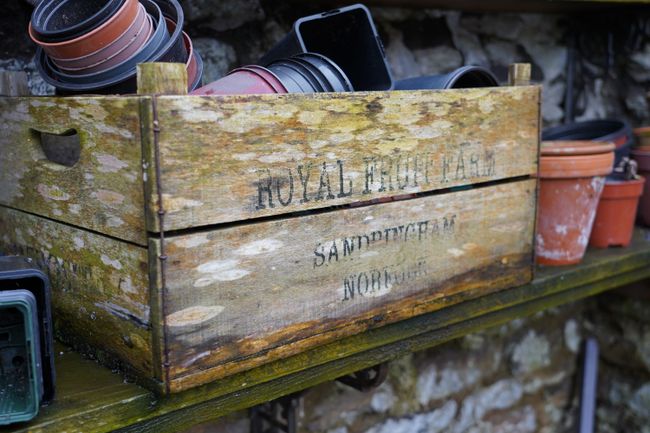 Sony A7 III review | Digital Camera World