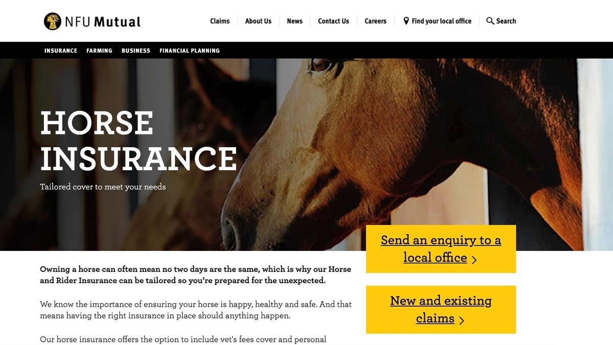 Get the best equine insurance for the most expensive friend in your ...