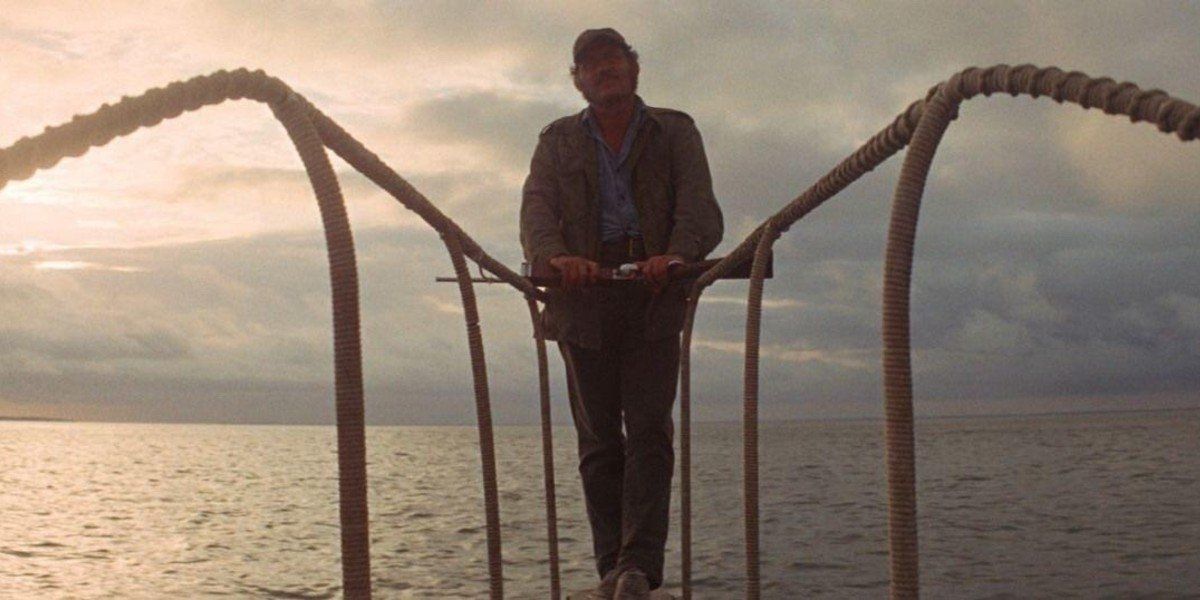 12 Jaws Behind-The-Scenes Facts You Might Not Know | Cinemablend