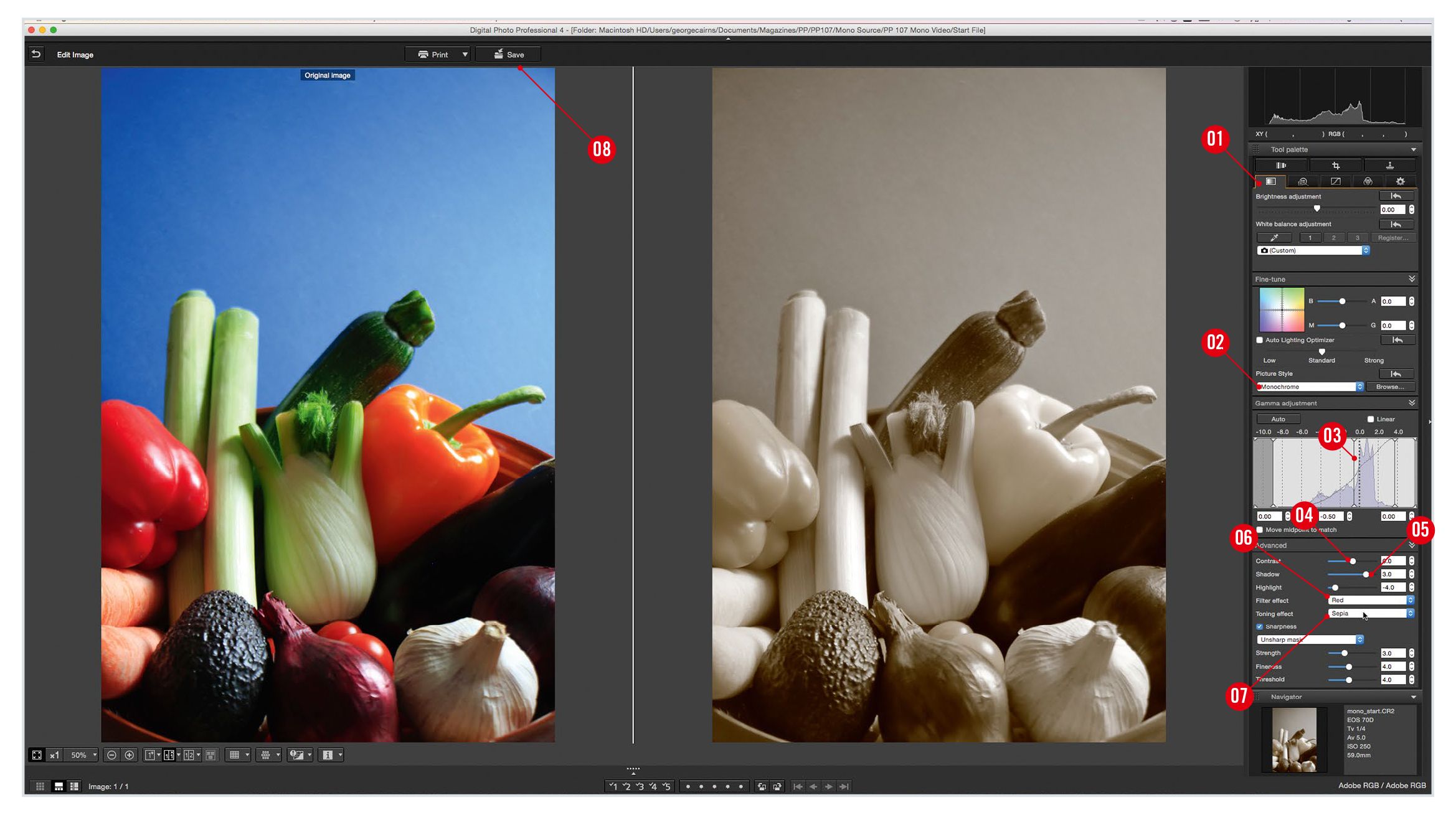 How to use Canon Digital Photo Professional – Canon DPP part 8 ...