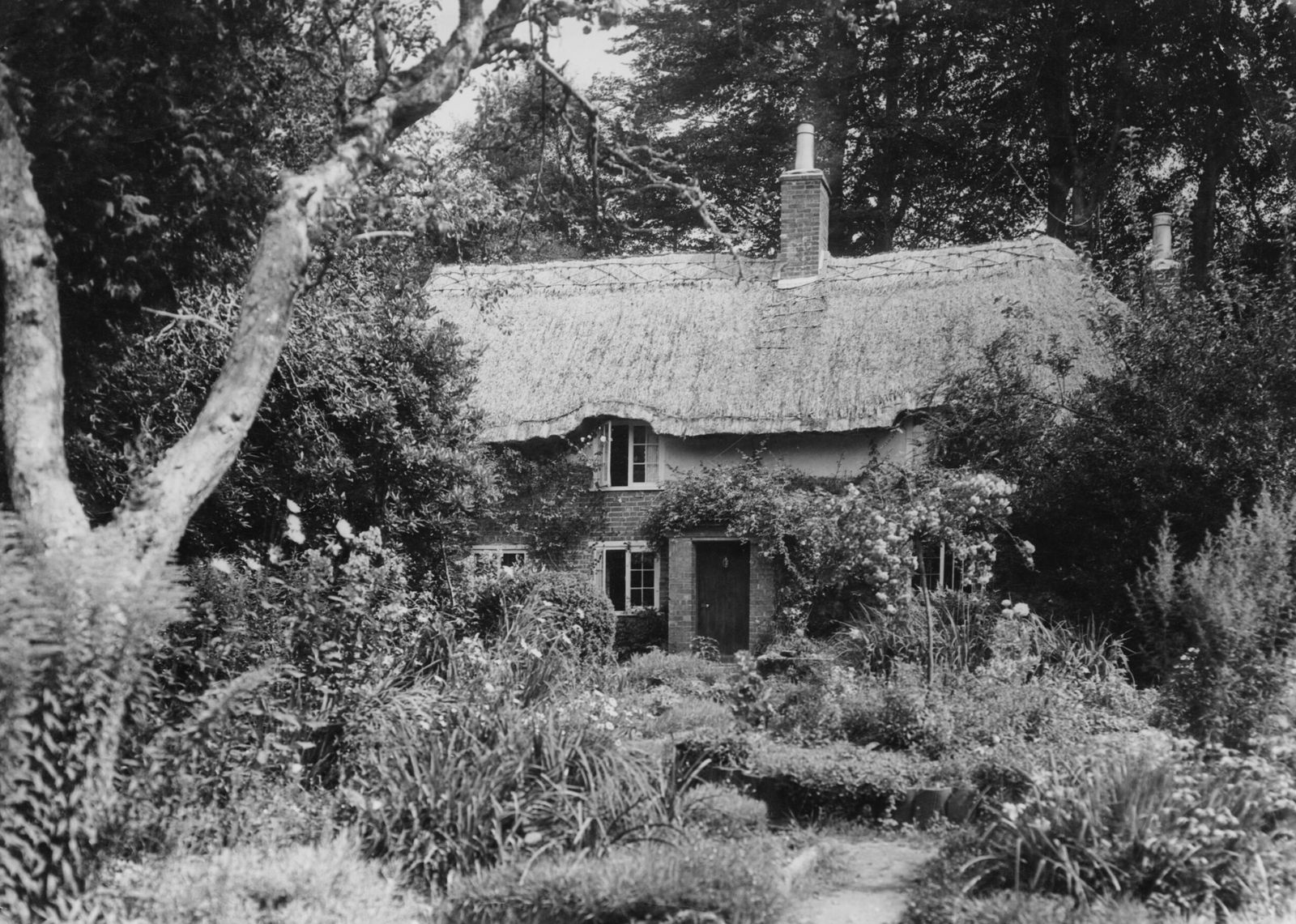Thomas Hardy and the country house: 'Irregularity is the genius of ...