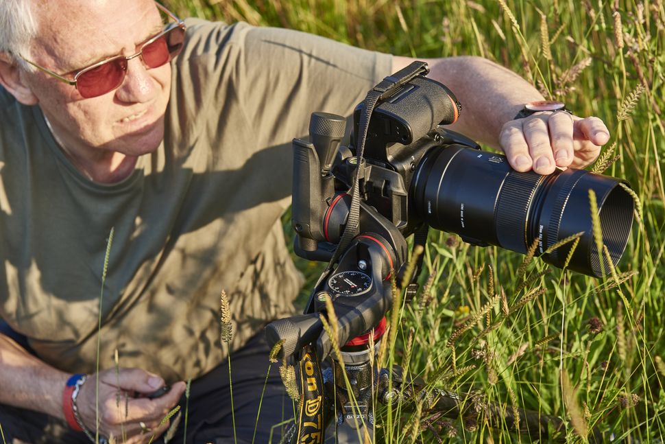How To Shoot Close ups Macro Lenses How To Choose One And How To 