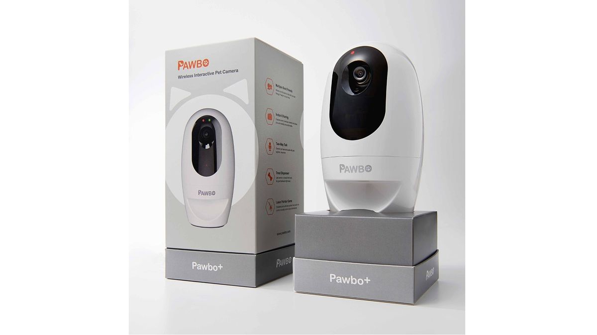 Best automatic laser cat toys: The top cat chasing devices | PetsRadar