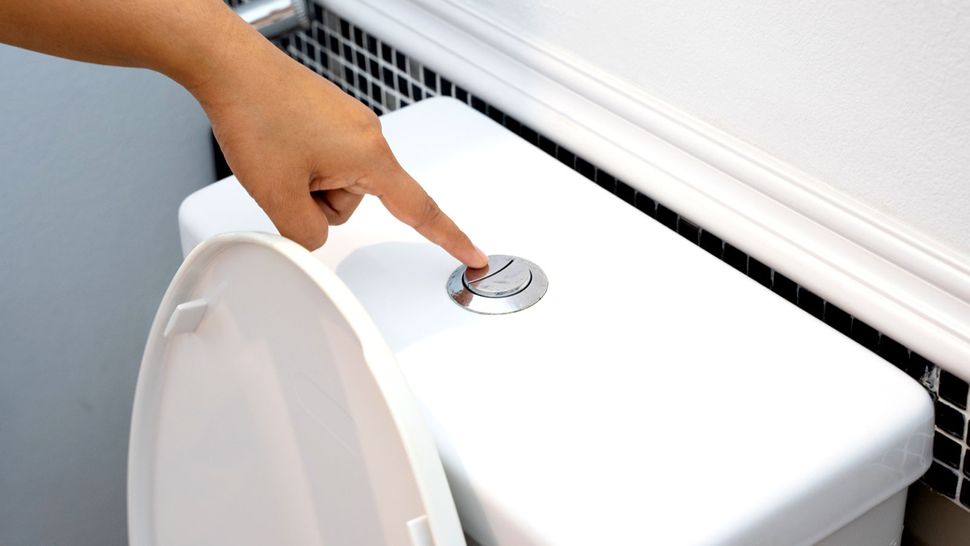 How to fix a toilet that won't flush with this expert guide | Homebuilding