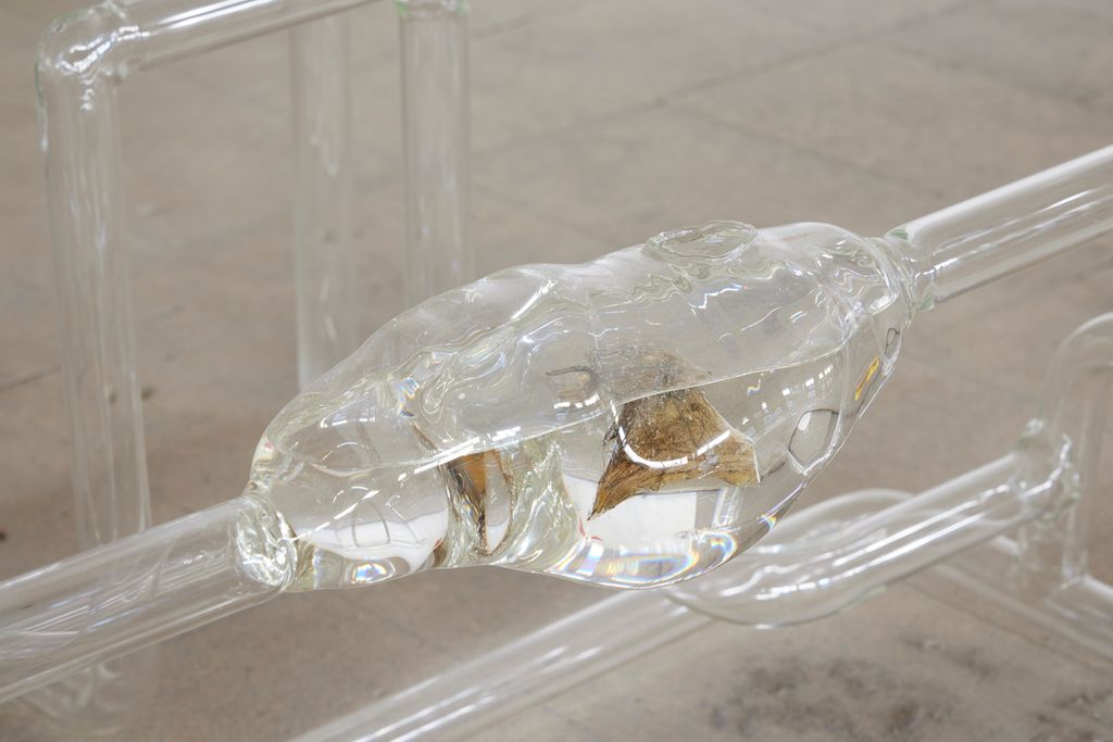 Jes Fan: the artist fusing biology, identity and creativity | Wallpaper*