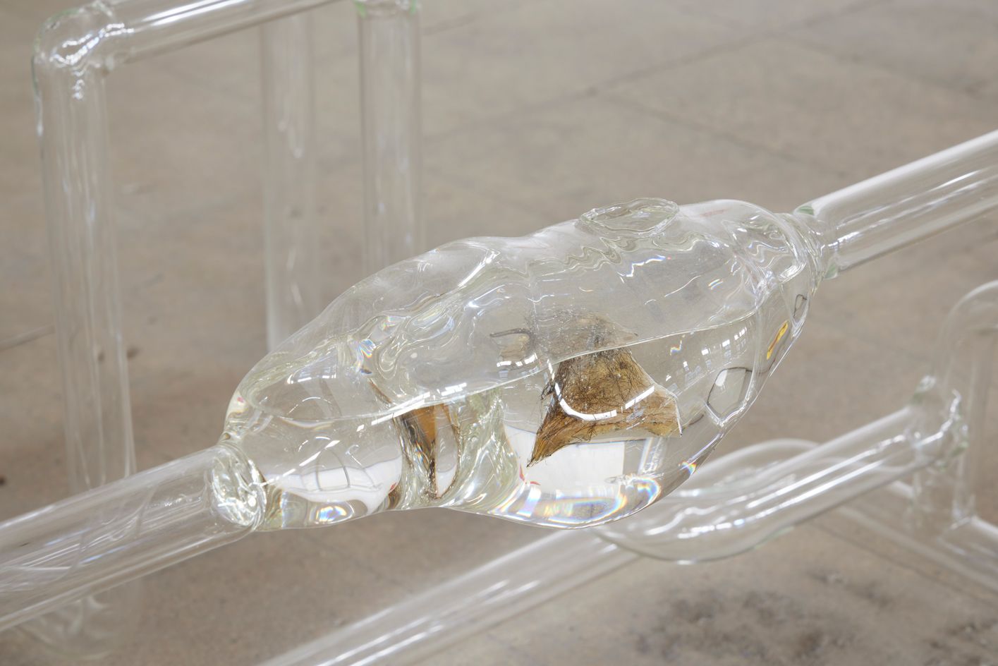 Jes Fan: the artist fusing biology, identity and creativity | Wallpaper