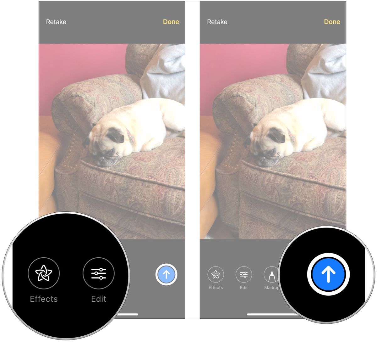 How to use Animoji, stickers, and animated effects in Messages on iOS ...