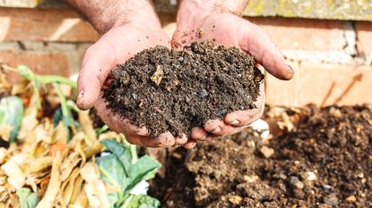 How To Know When Compost Is Ready: Key Signs It's Finished | Gardening ...