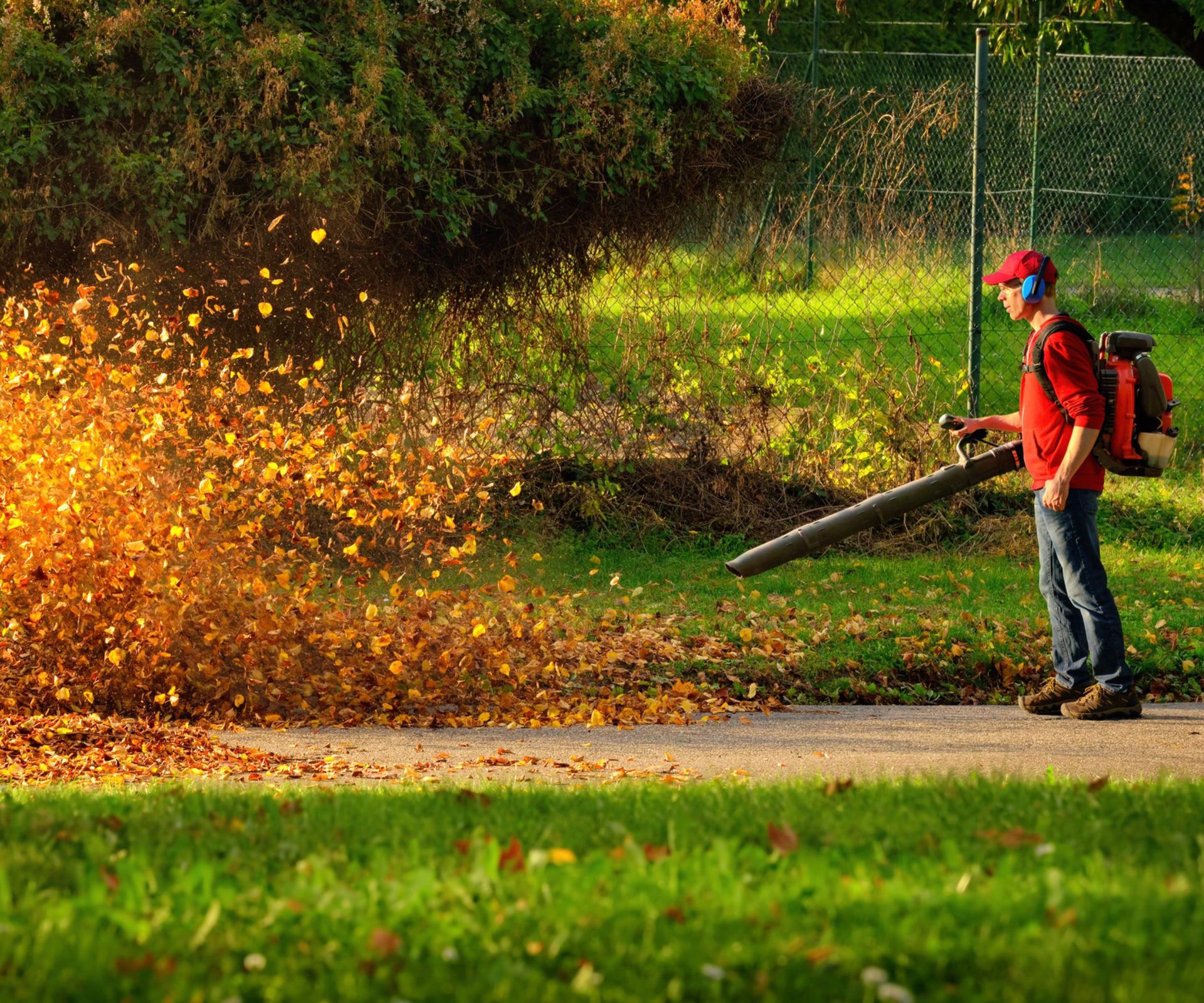 Leaf blower vs rake: expert gardeners reveal which is best | Homes and ...