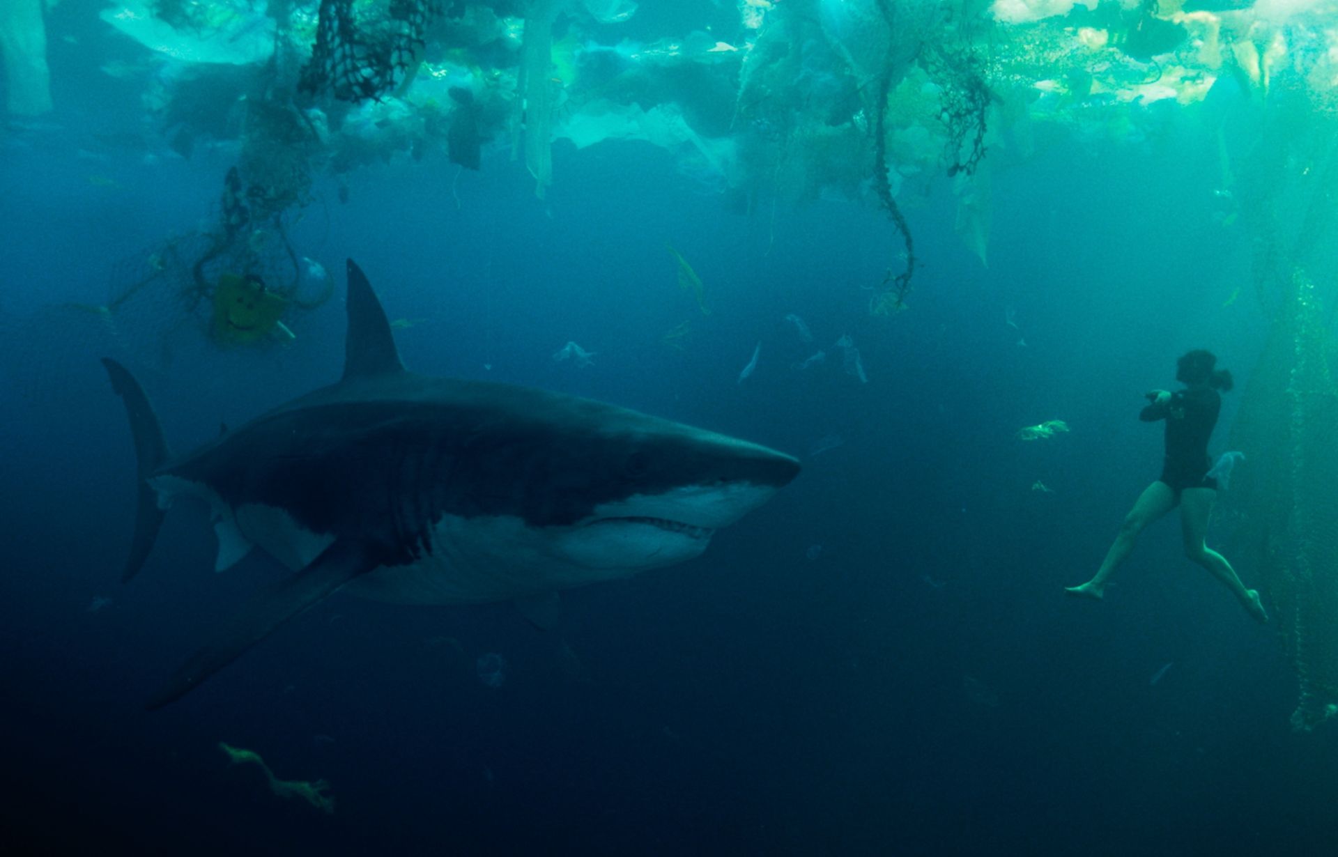 Under Paris: release date, cast, plot, trailer, shark movie | What to Watch