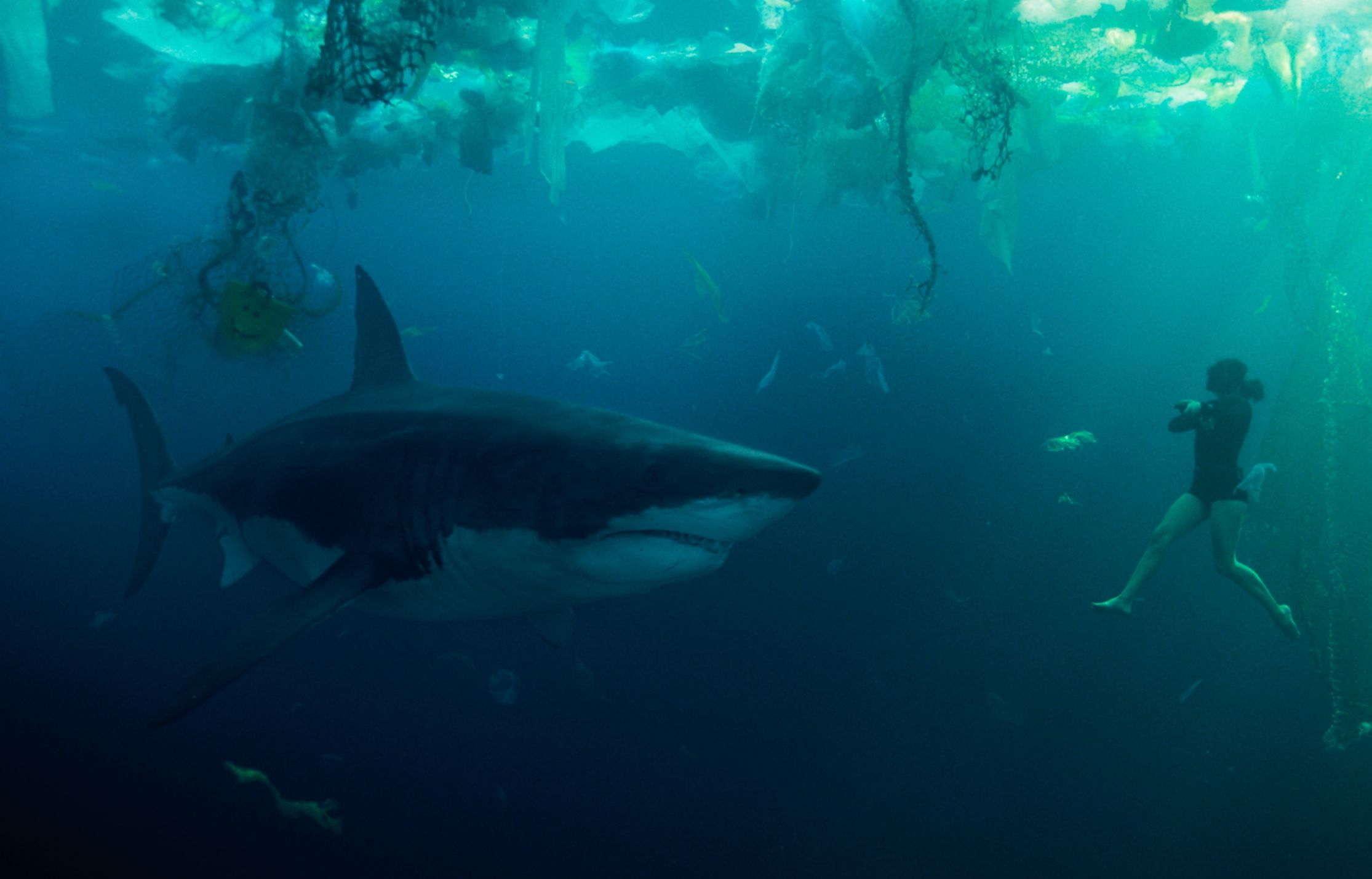 Under Paris: release date, cast, plot, trailer, shark movie | What to Watch