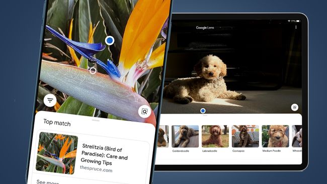 How to use Google Lens on your iPhone or iPad | TechRadar