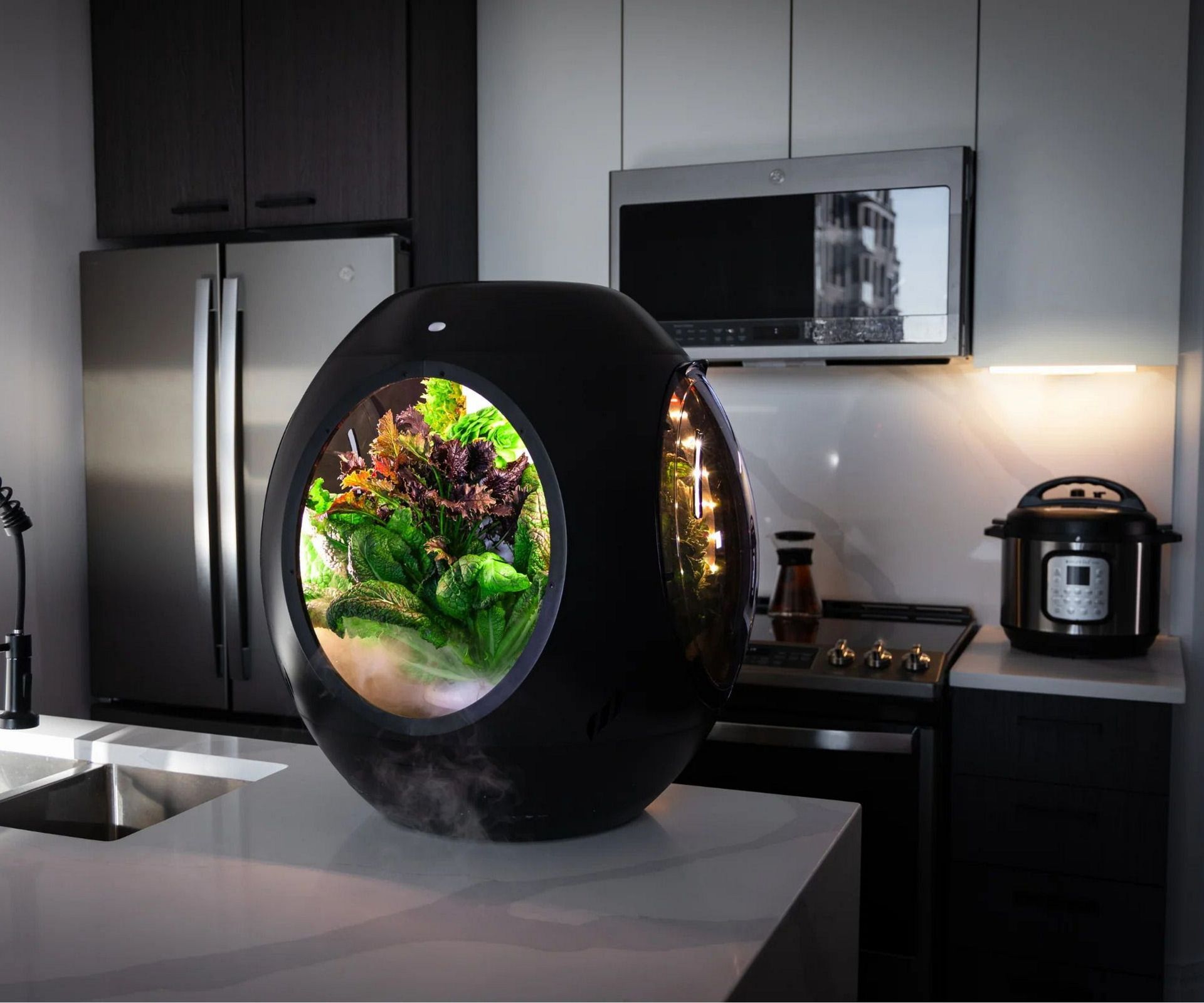 NASA technology makes fogponics possible for growing plants | Homes and ...