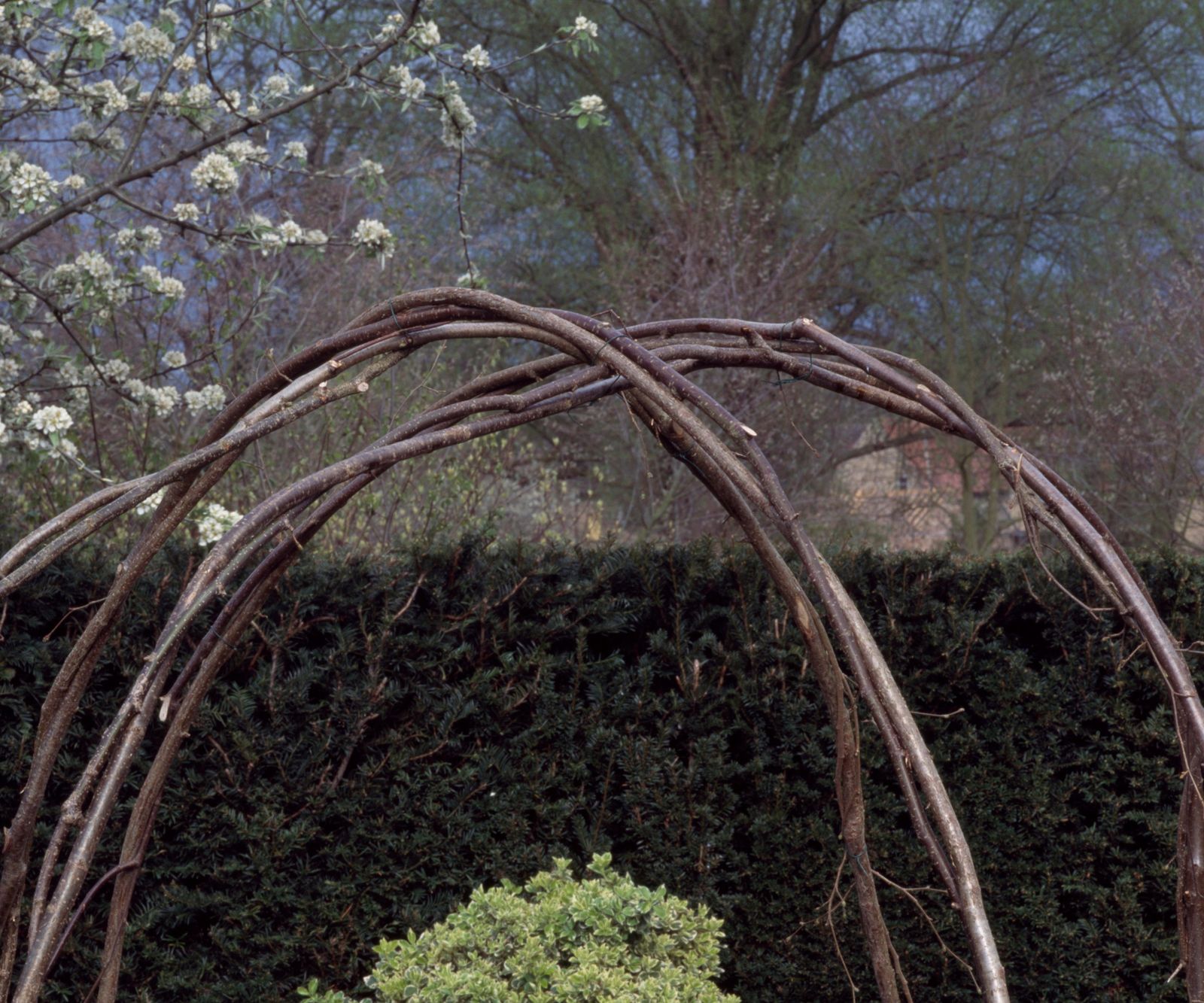 How to build hazel plant supports in your borders this year | Homes and ...