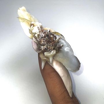 Björk’s nail artist Sojin Oh on creating surreal talons | Wallpaper*