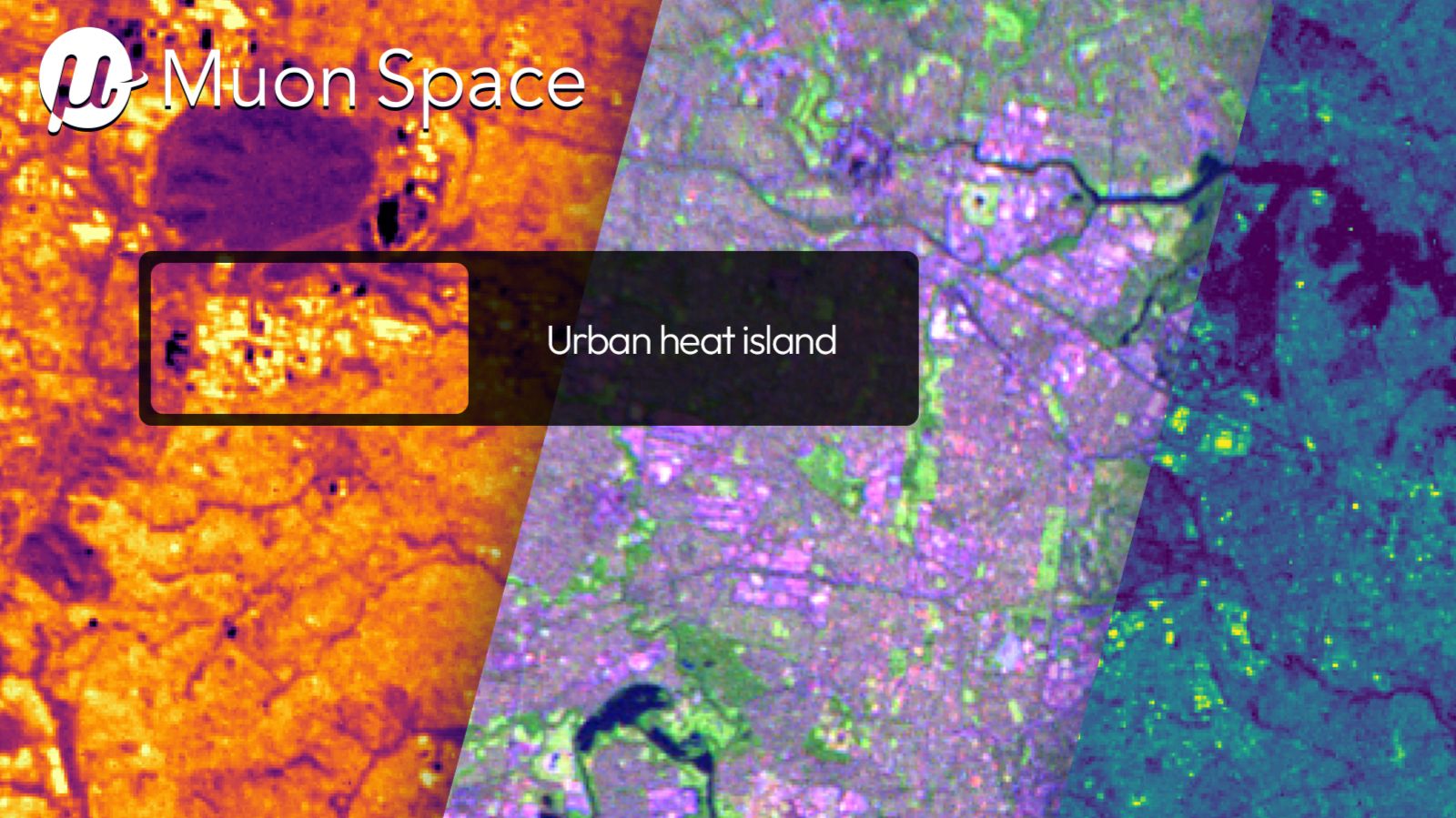 Doja cat nude pictures the girl claims being