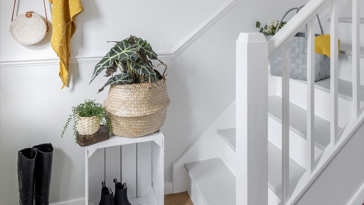 Best washable paint: 5 picks for hallways, kitchens, playrooms and more ...