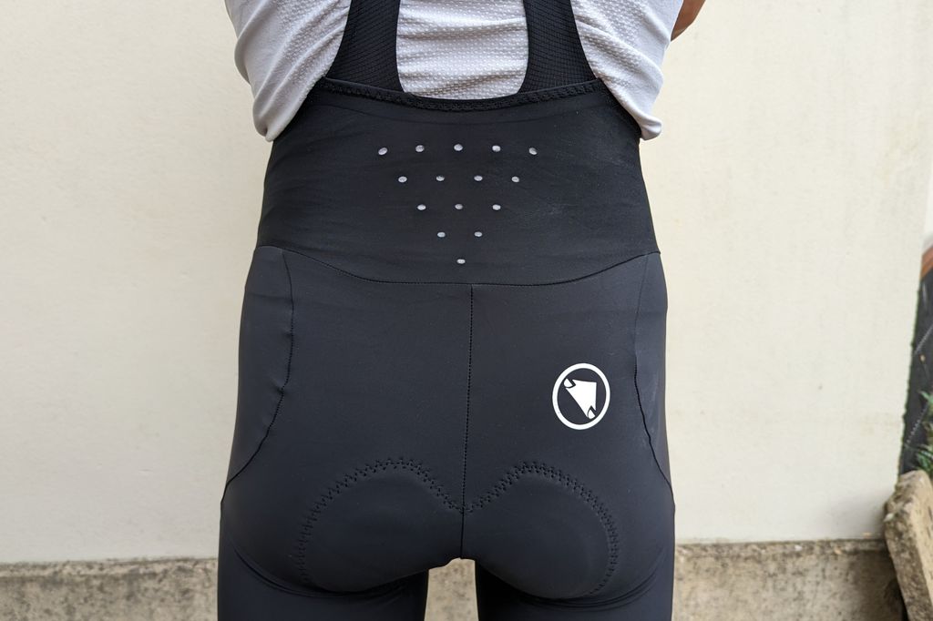 Endura Pro SL EGM bib short review - range-topping quality for a lower ...