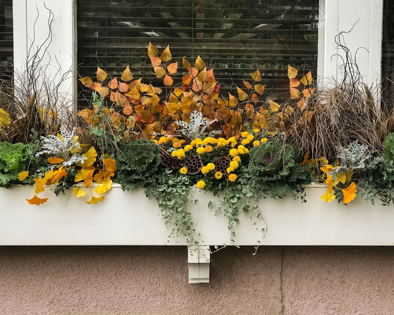 Winter planter ideas: 12 cold-weather containers that will look good ...