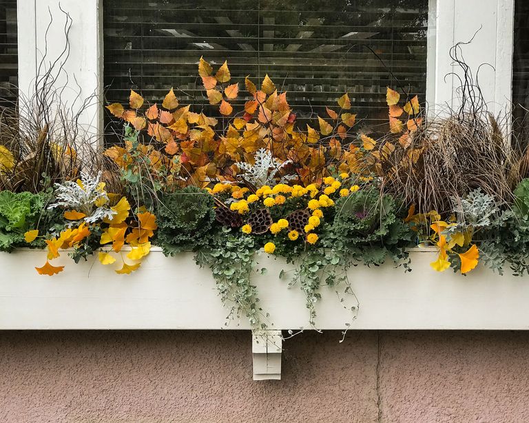 Winter planter ideas: 12 cold-weather containers that will look good ...