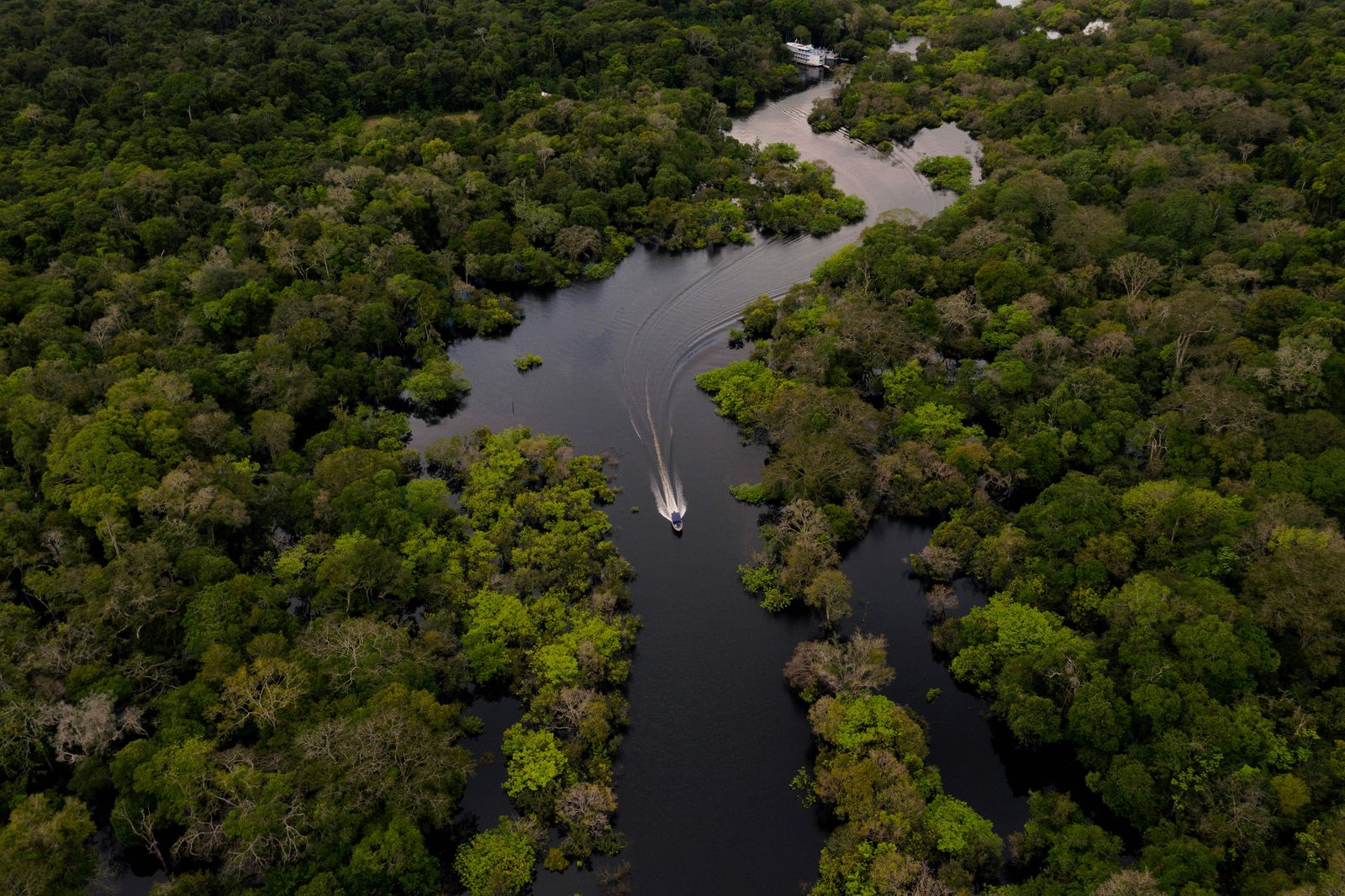 A guide to visiting the Amazon rainforest responsibly | The Week
